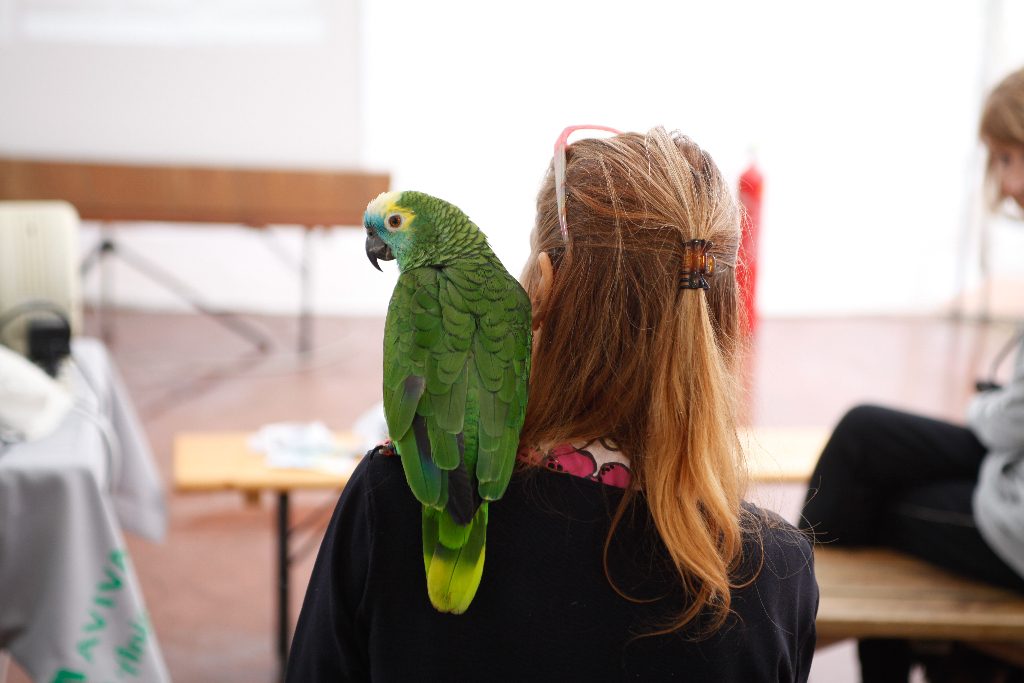 Si svolgerà a Trieste l'edizione 2018 del World Animal Day, la giornata ...