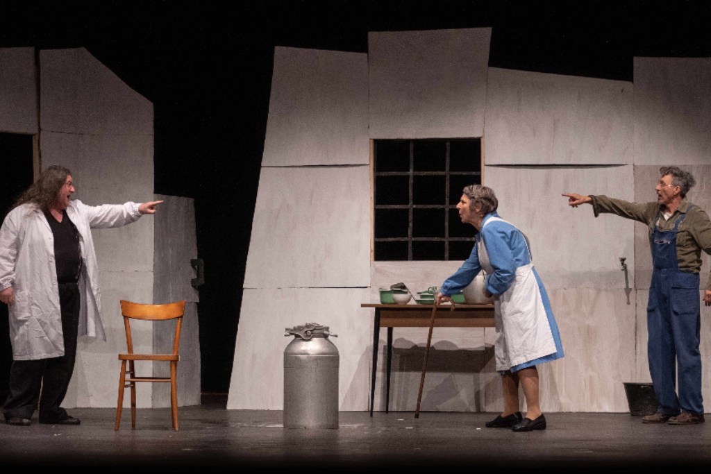 Teatro Dialetto Triestino: commedia voio ma non posso - TRIESTE.news